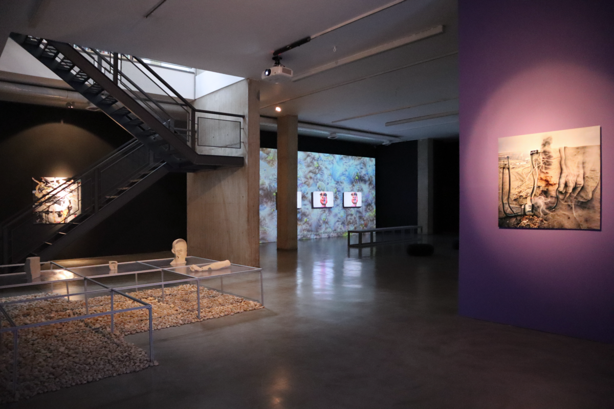 POST NATURE - NC ARTE